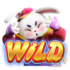 PG SLOT เว็บสล็อตออนไลน์ เว็บตรงไม่ผ่านเอเย่นต์ - PG999