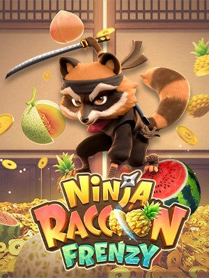 Ninja Raccoon Frenzy